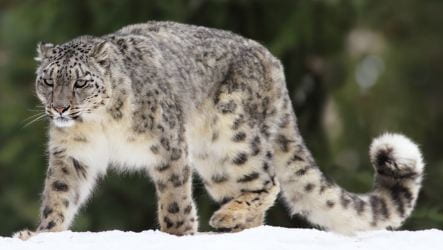 February 2025 – Millie @ Wigram Primary School